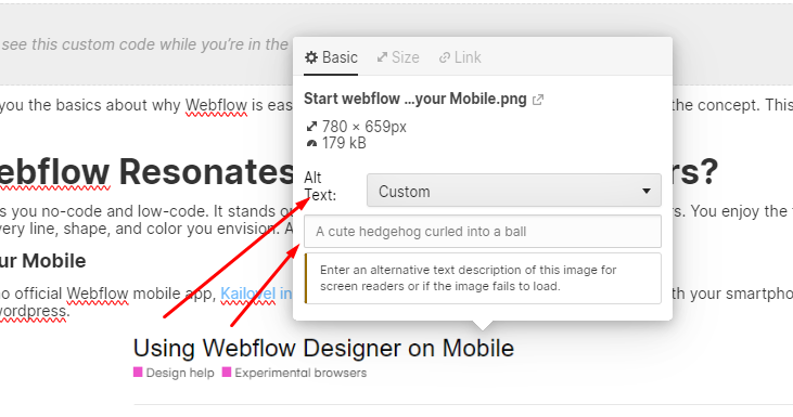 Is Webflow Easy to Use? - Flowzai